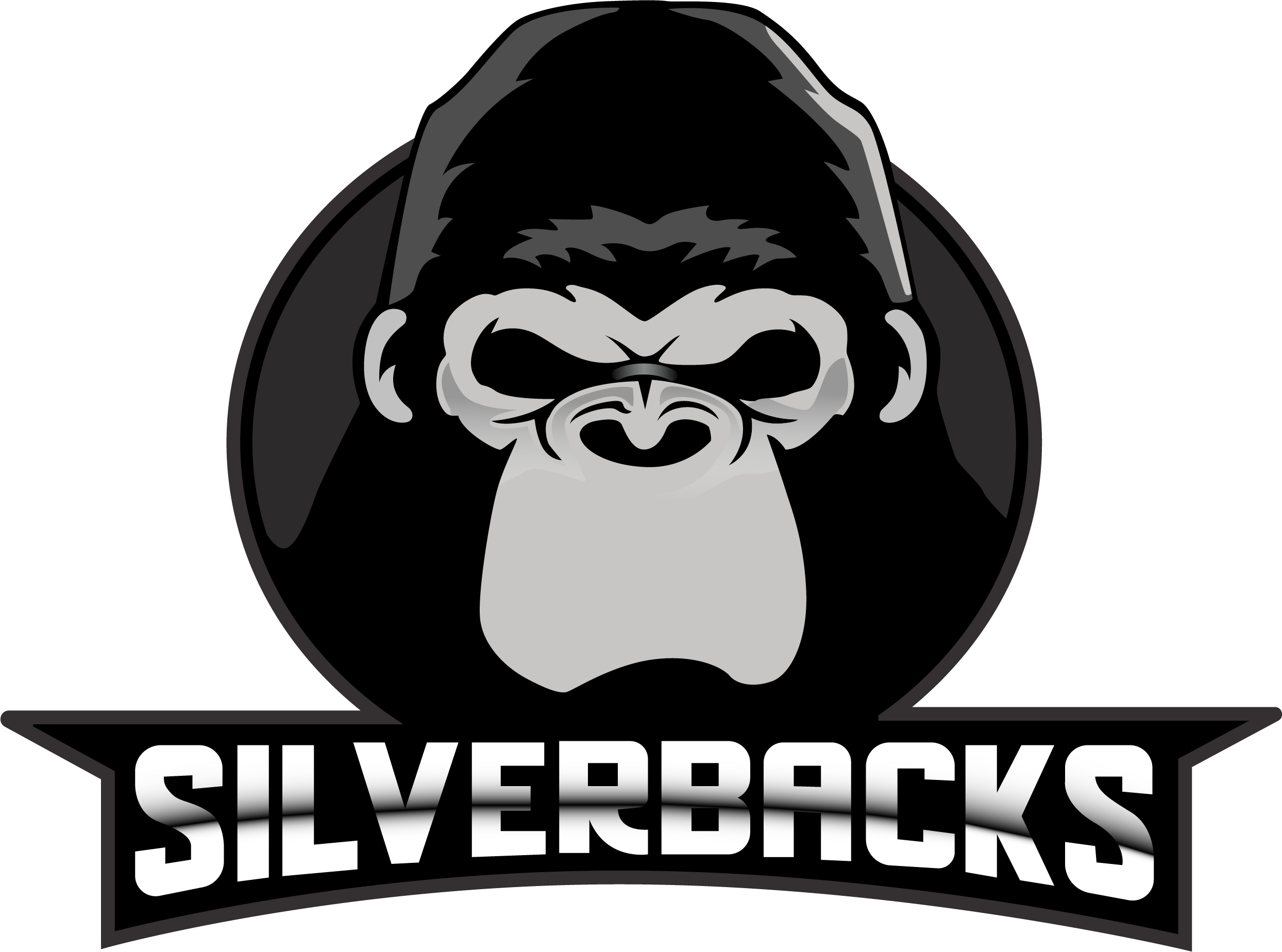 Silverbacks Gym – Kickboxing Gym
